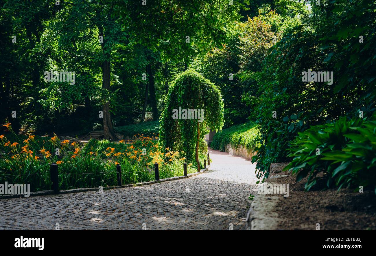 Sofia Park, Uman. Stone walkway in a green summer park. Path with ...