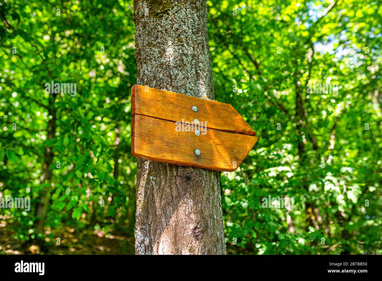 An empty wooden arrow-shaped sign pointing to the right, bolted to a ...