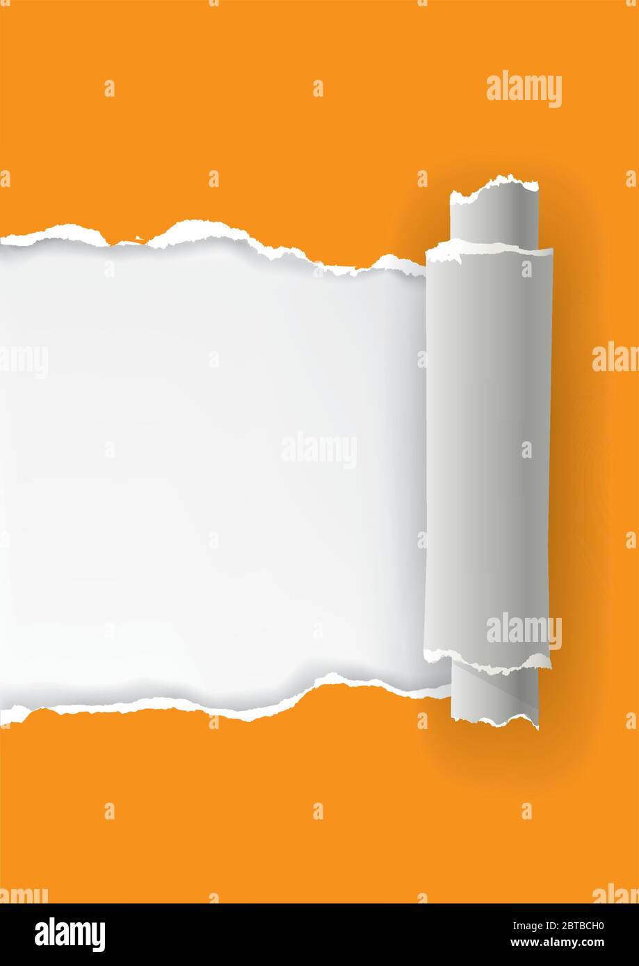 Orange ripped paper rolled up, banner template. Illustration of orange ...