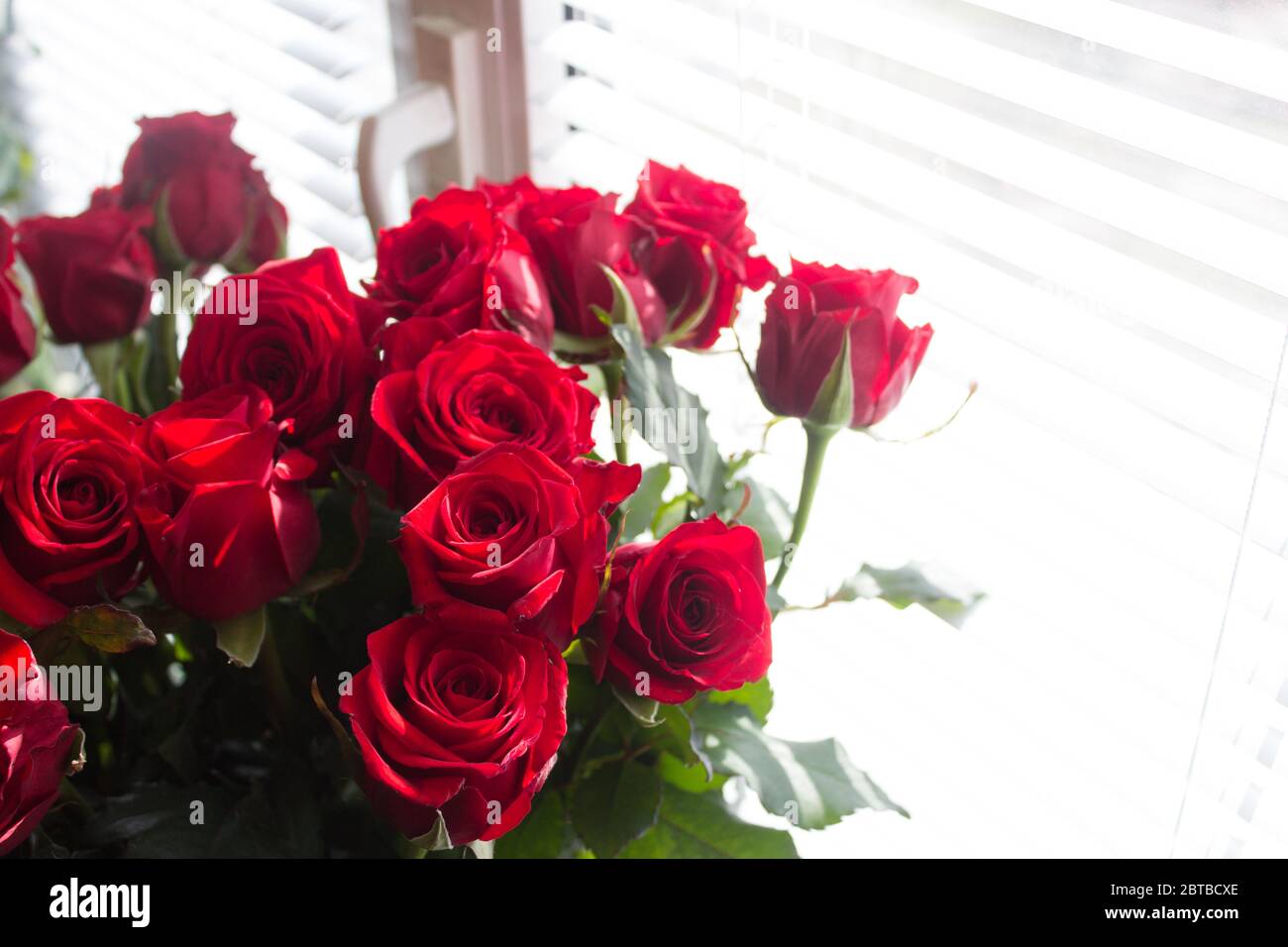 Holiday rose bouquet hi-res stock photography and images - Alamy