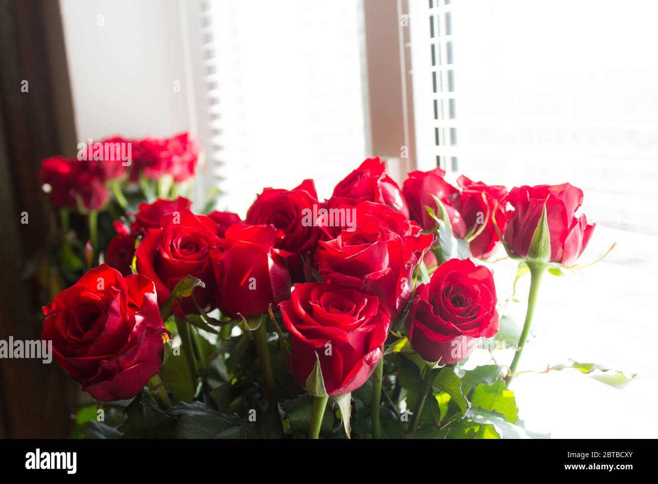 Bouquet of red roses on the windowsill Stock Photo - Alamy