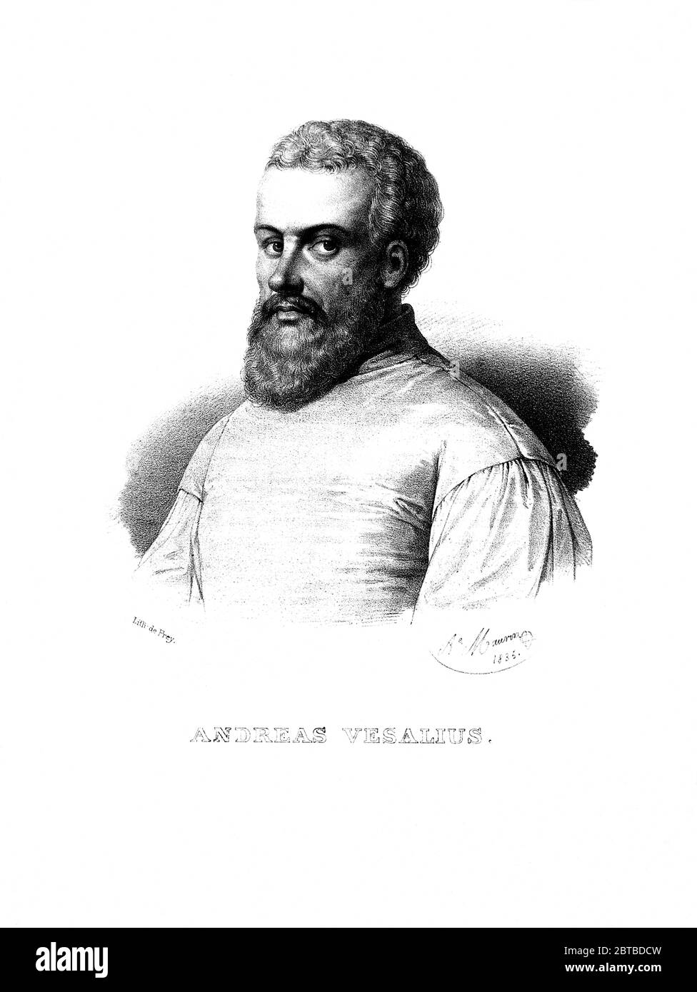 Vesalius anatomy hi-res stock photography and images - Alamy