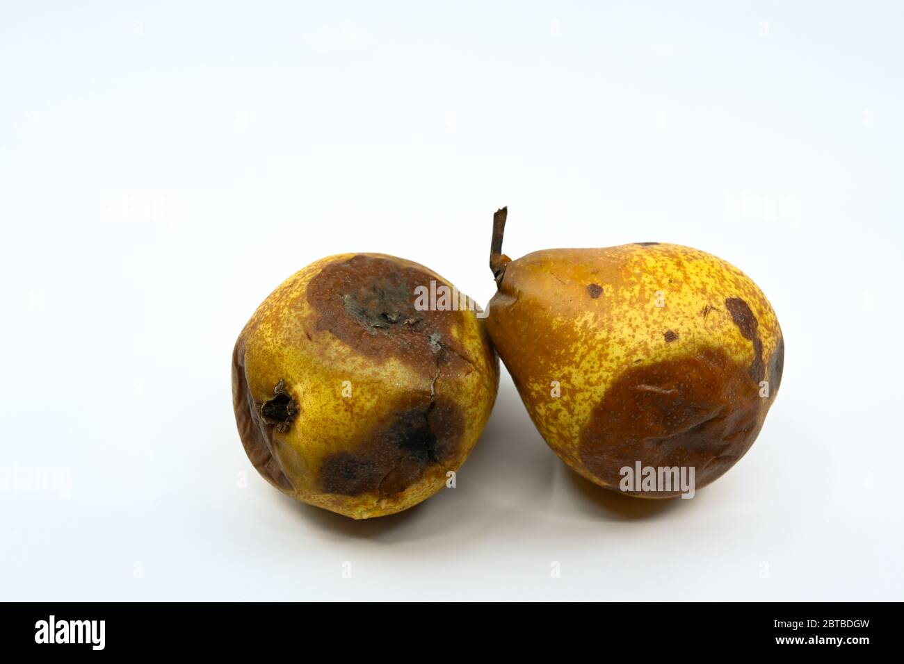 Rotten pear hi-res stock photography and images - Alamy