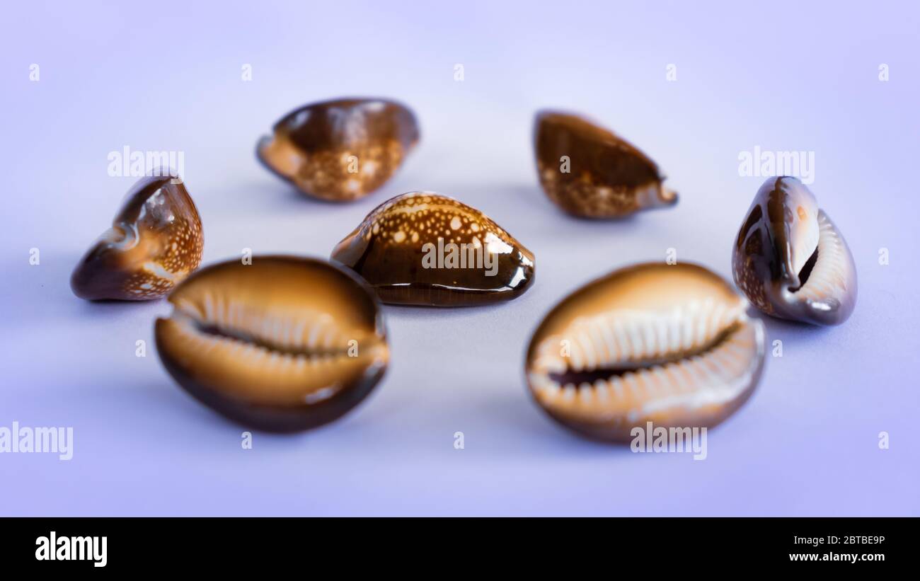 Rich toned coffee bean trivia scattered on board pattern Stock Photo ...