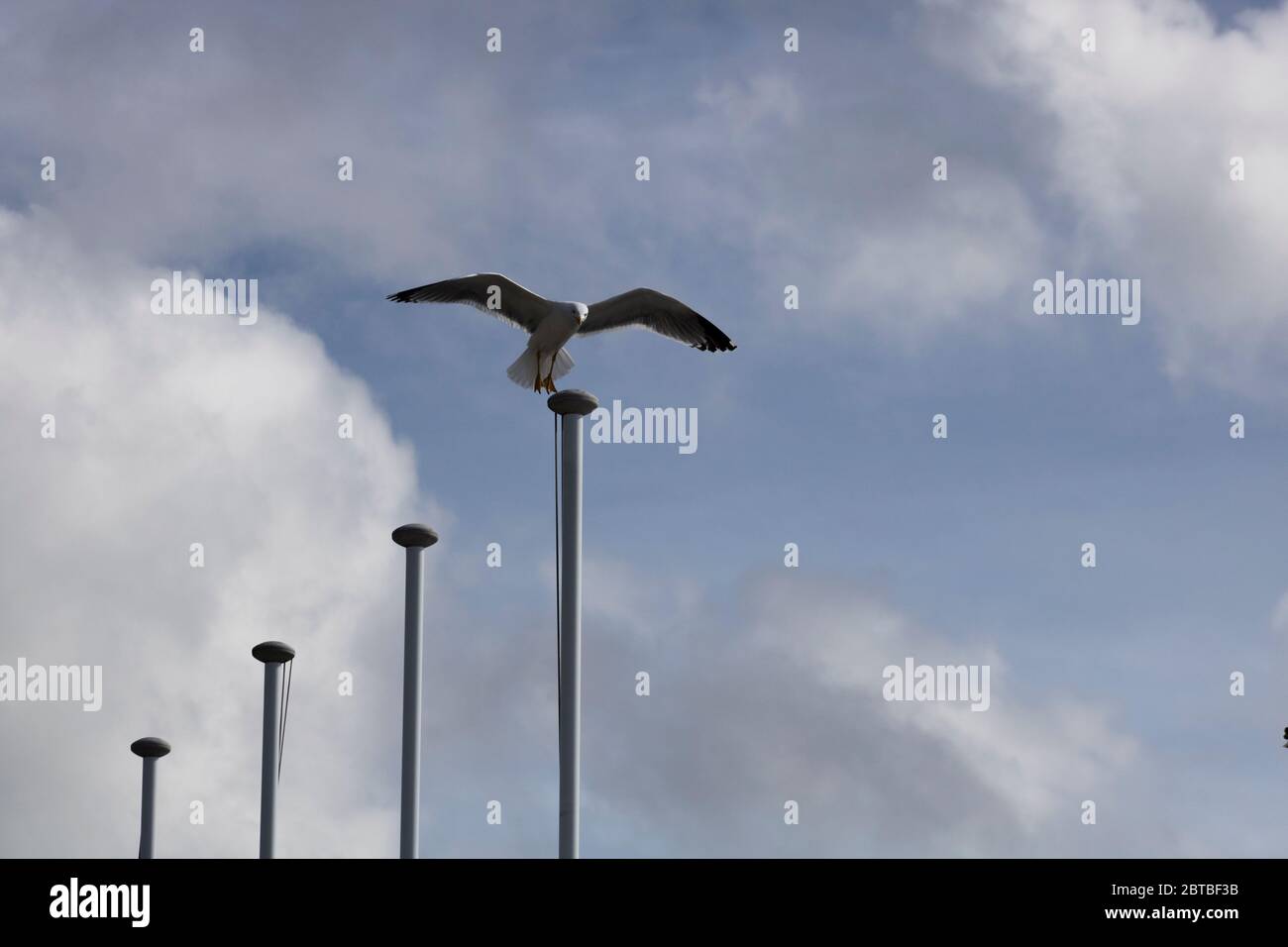 Mast landing hi-res stock photography and images - Alamy