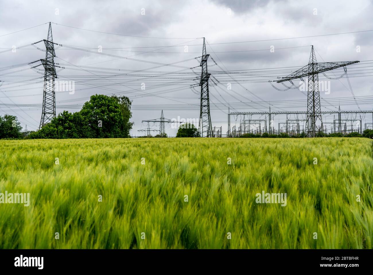 Power lines, extra-high voltage grid, 380 kilovolt, transports the ...