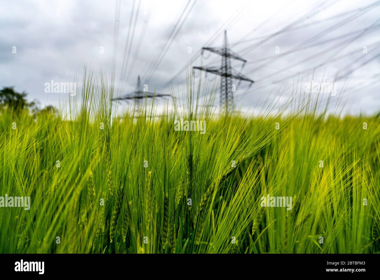 Power lines, extra-high voltage grid, 380 kilovolt, transports the ...