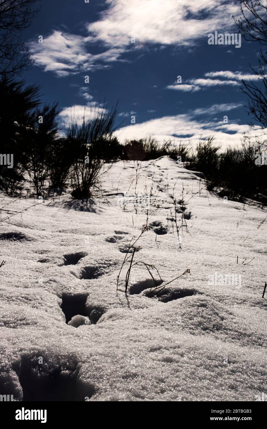 Person footprints in the snow showing a path in a snowy mountain Stock ...
