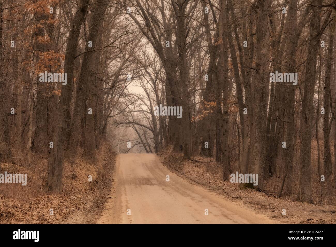 Forest road in early Spring in area of Holly State Recreation Area in ...
