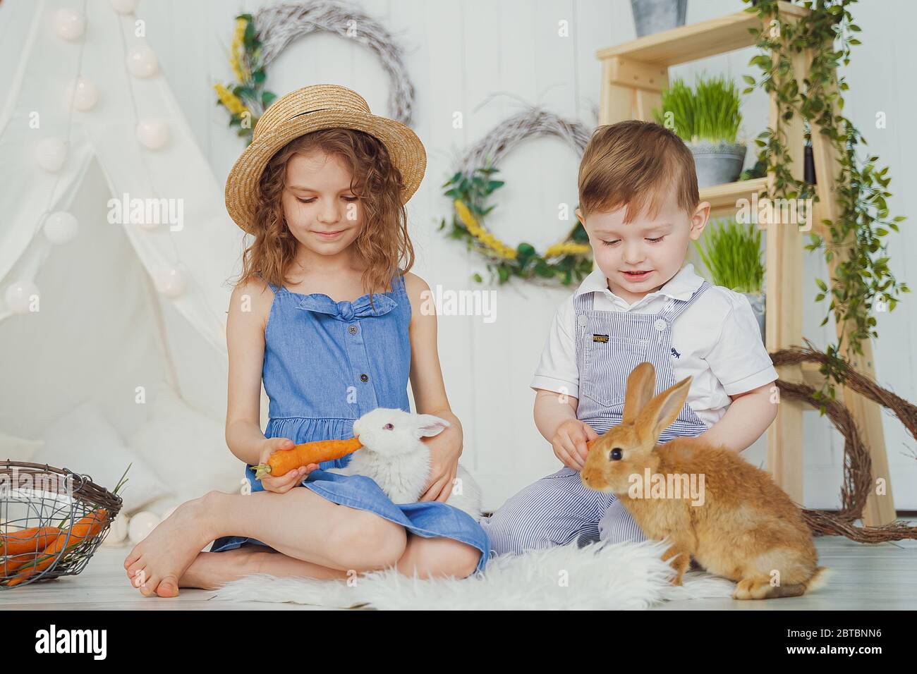 Happy laughing little girl and boy playing with a baby rabbit, feeding ...