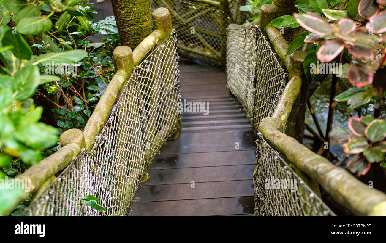Bamboo made bridge hi-res stock photography and images - Alamy