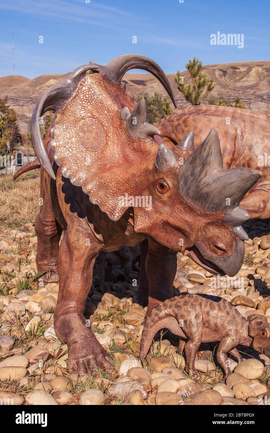 Eotriceratops Xerinsularis