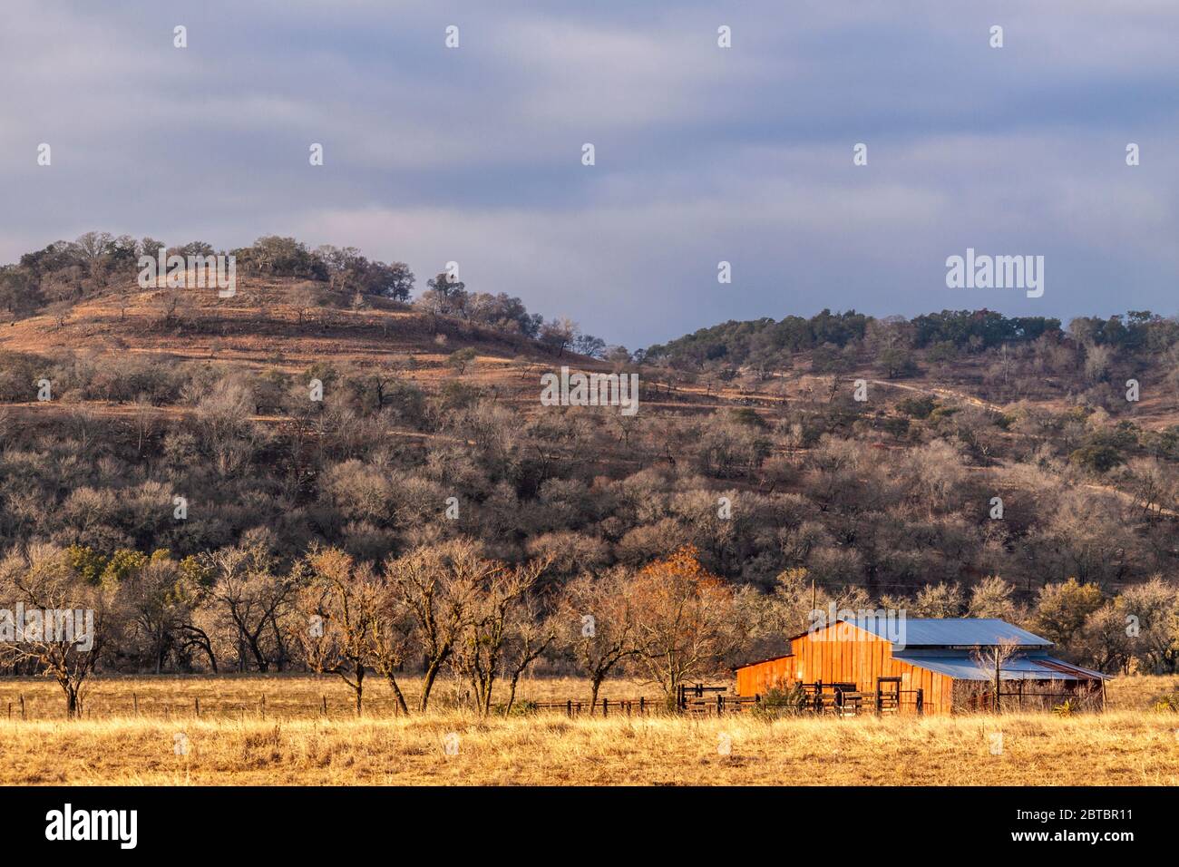Conservation oriented ranching hi-res stock photography and images - Alamy
