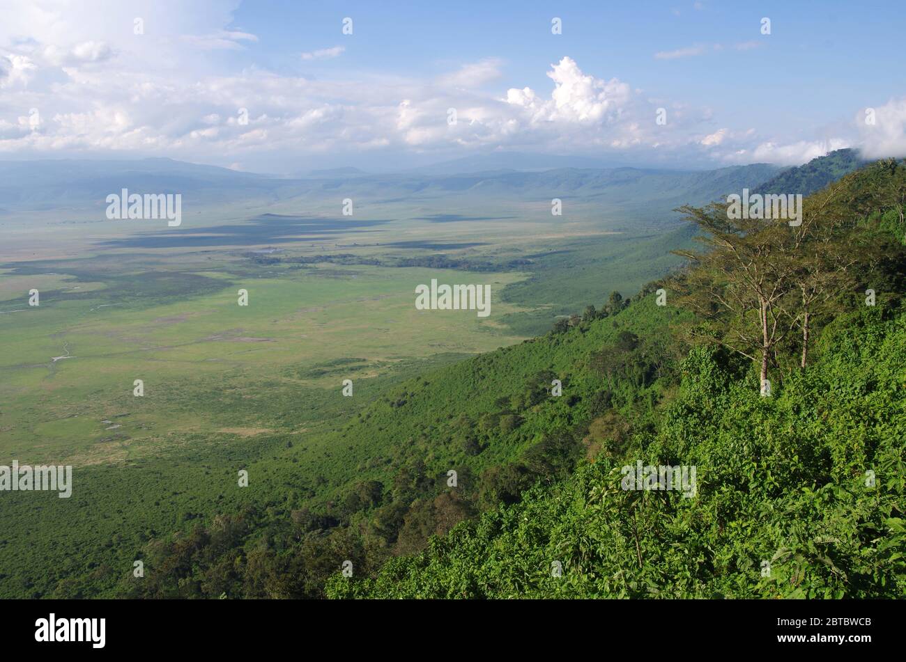 Landscape in the Ngorongoro crater in Tanzania Stock Photo - Alamy