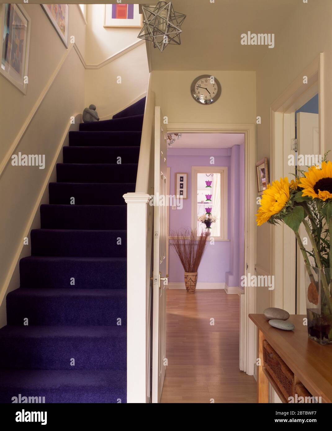 Bright blue carpet on stairs in white hall Stock Photo - Alamy