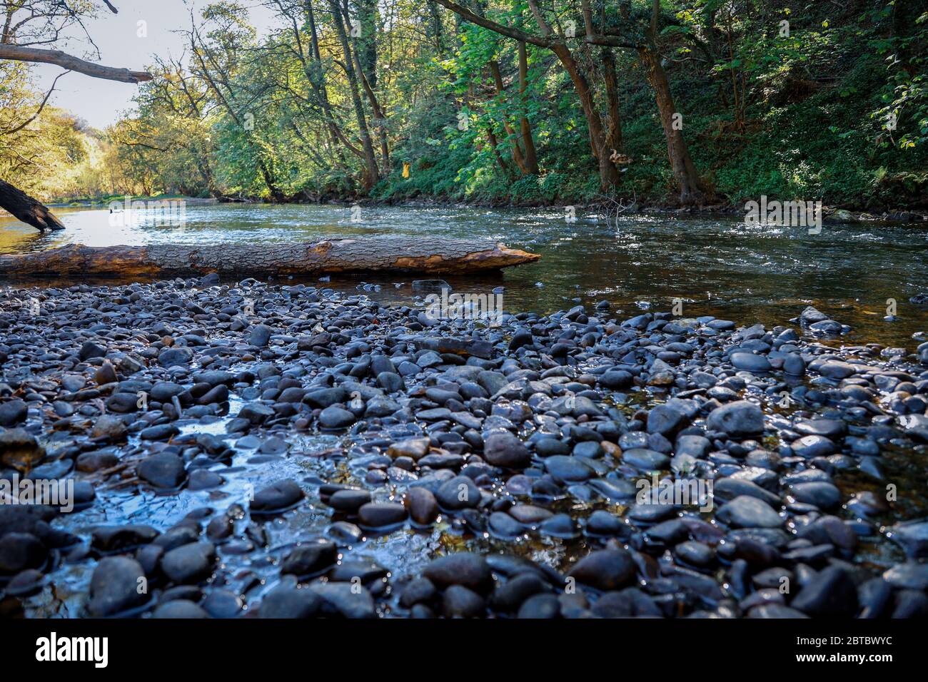 Nidderdale river in Harrogate Stock Photo - Alamy