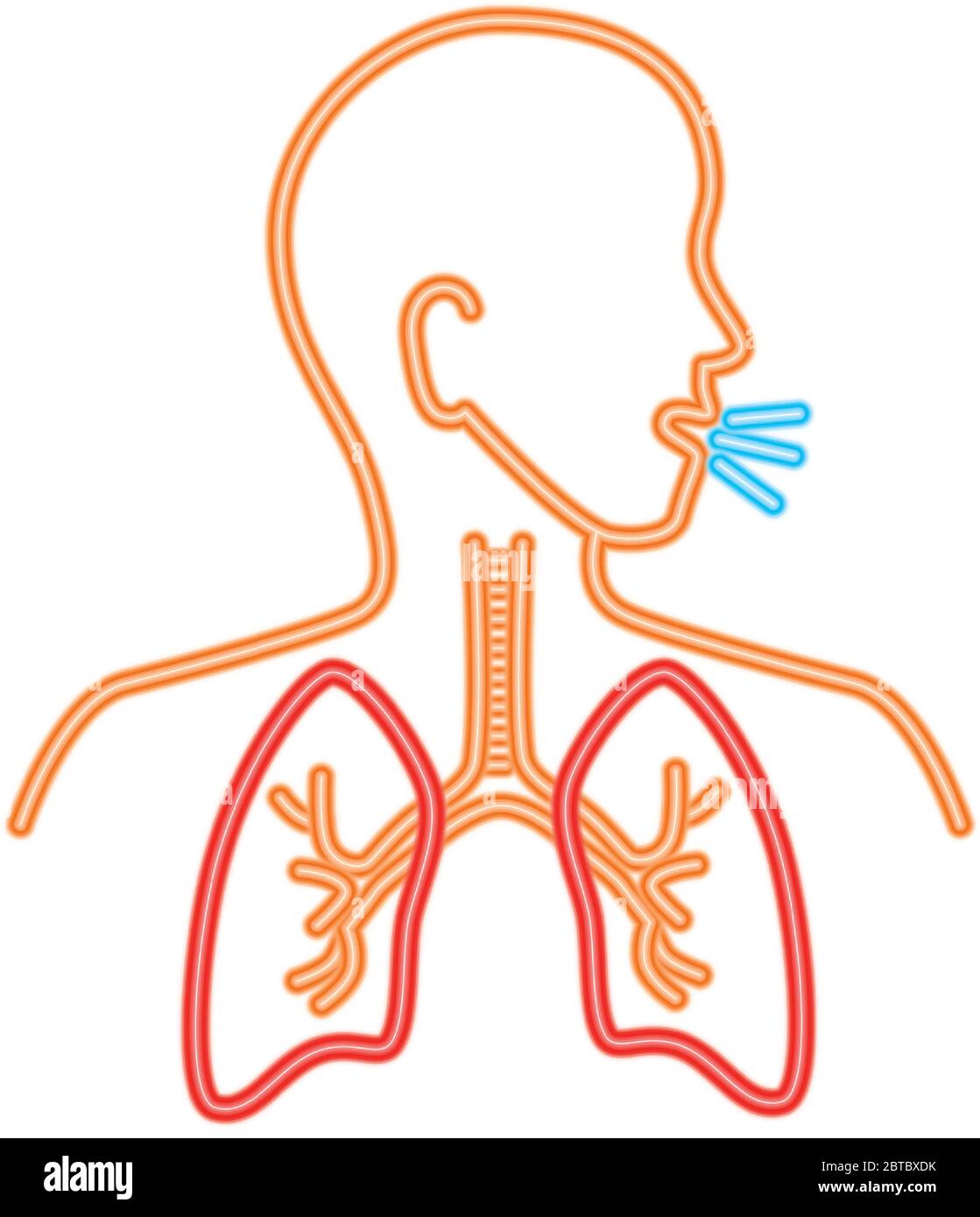 human inner organ in chest, line style Stock Vector Image & Art - Alamy