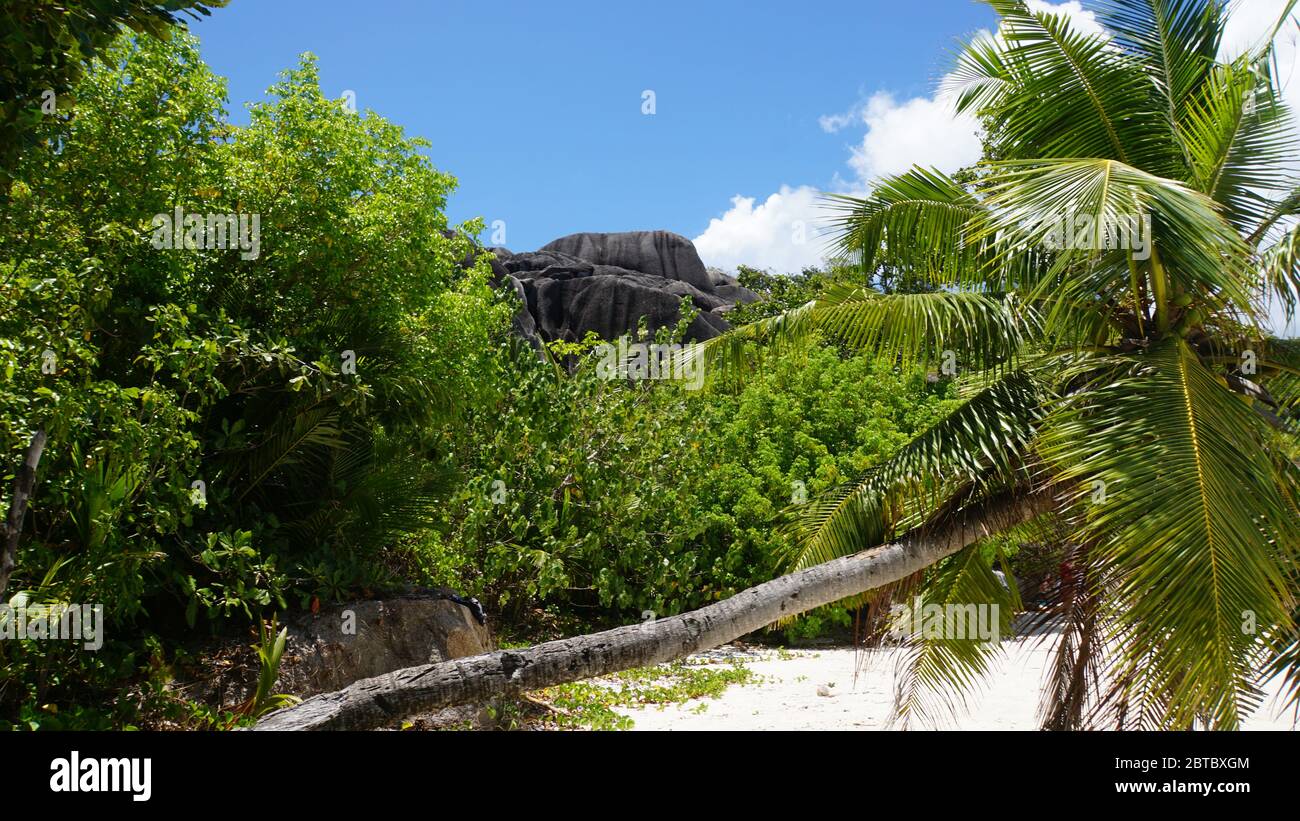 amazing tropical landscape on the seychelles islands Stock Photo - Alamy