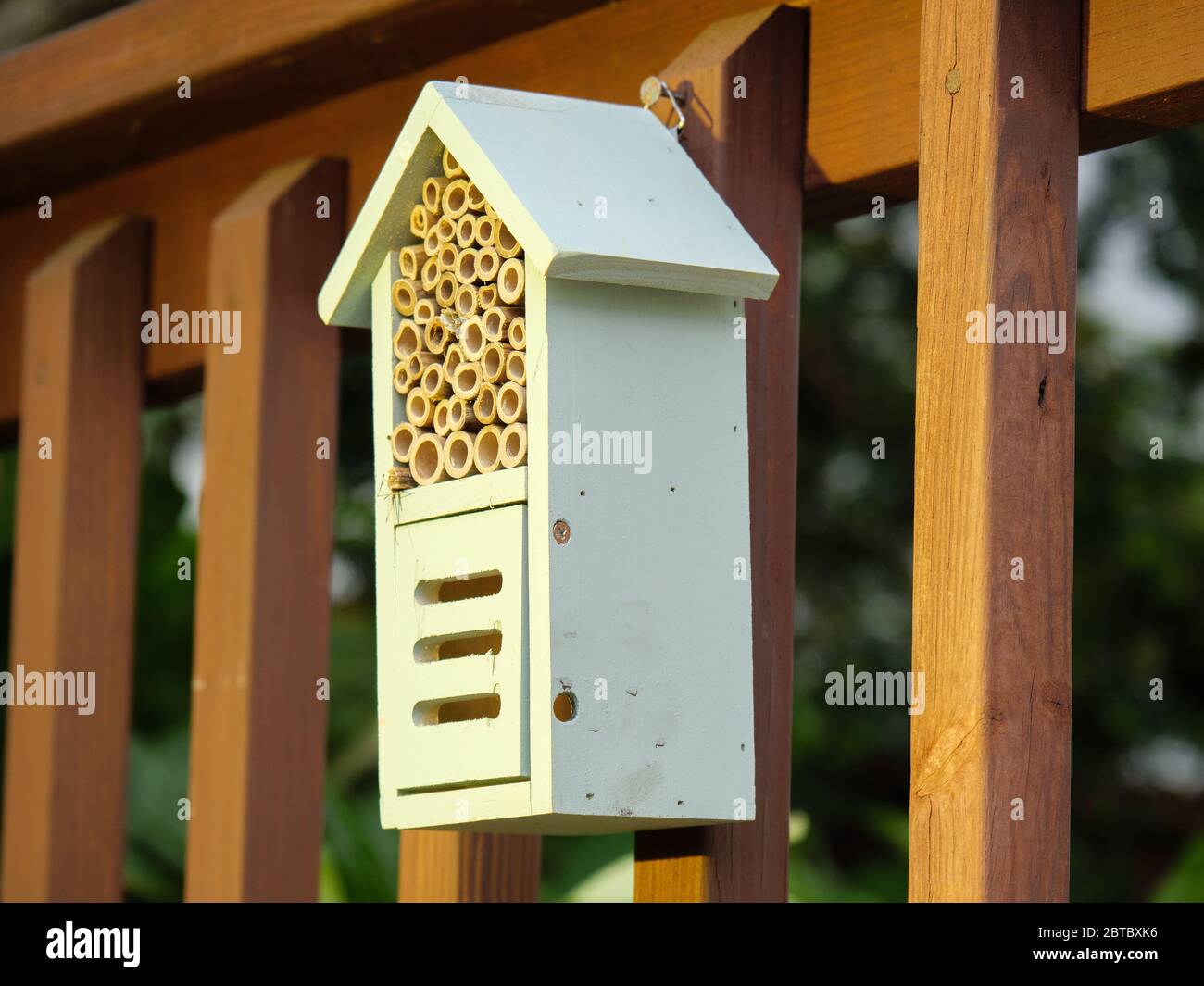 Bee and pollinator house. Provides nesting cavities for solitary bees ...