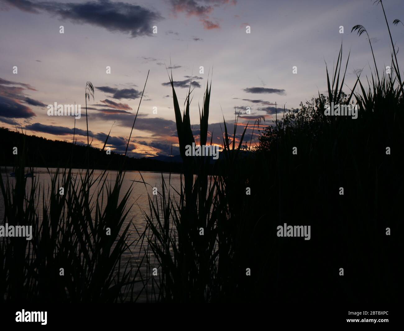 Sunset soft cloud forest lake hi-res stock photography and images - Alamy