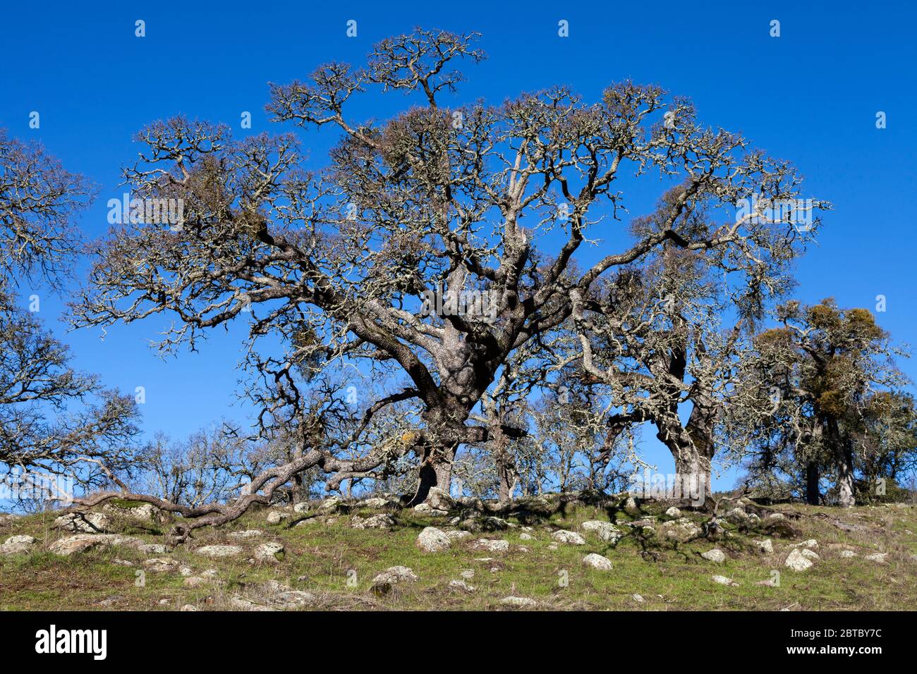 Regional Parks High Resolution Stock Photography and Images - Alamy
