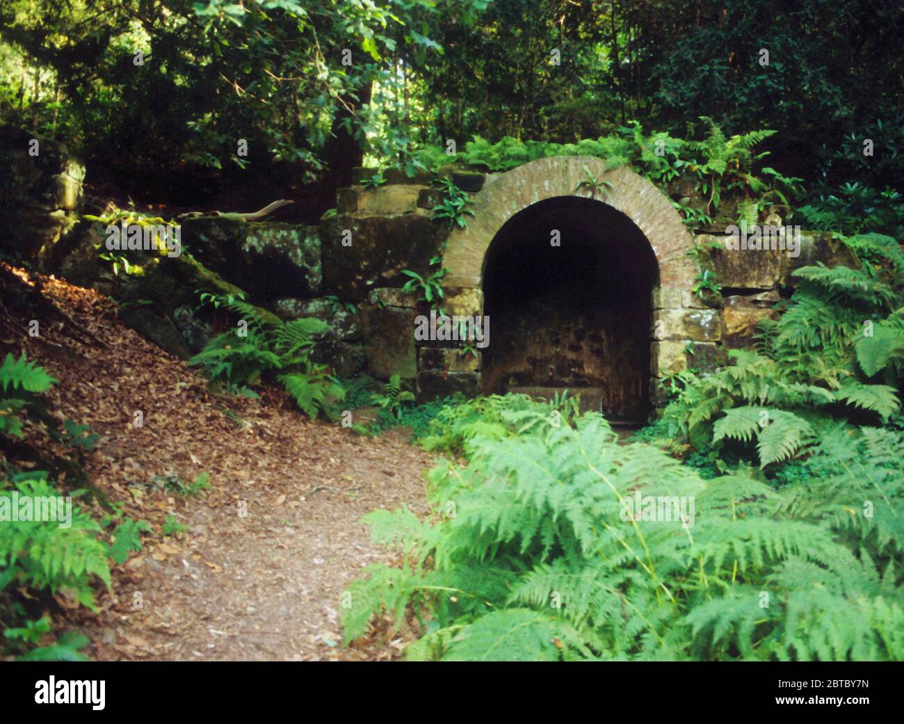 Lady Spring, a secluded ferny grotto in Ashburnham Park Stock Photo - Alamy