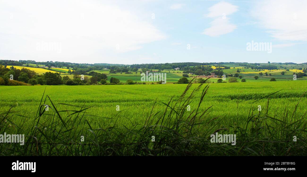 A distant view of Aske Hall and Aske Park with landscaping by ...