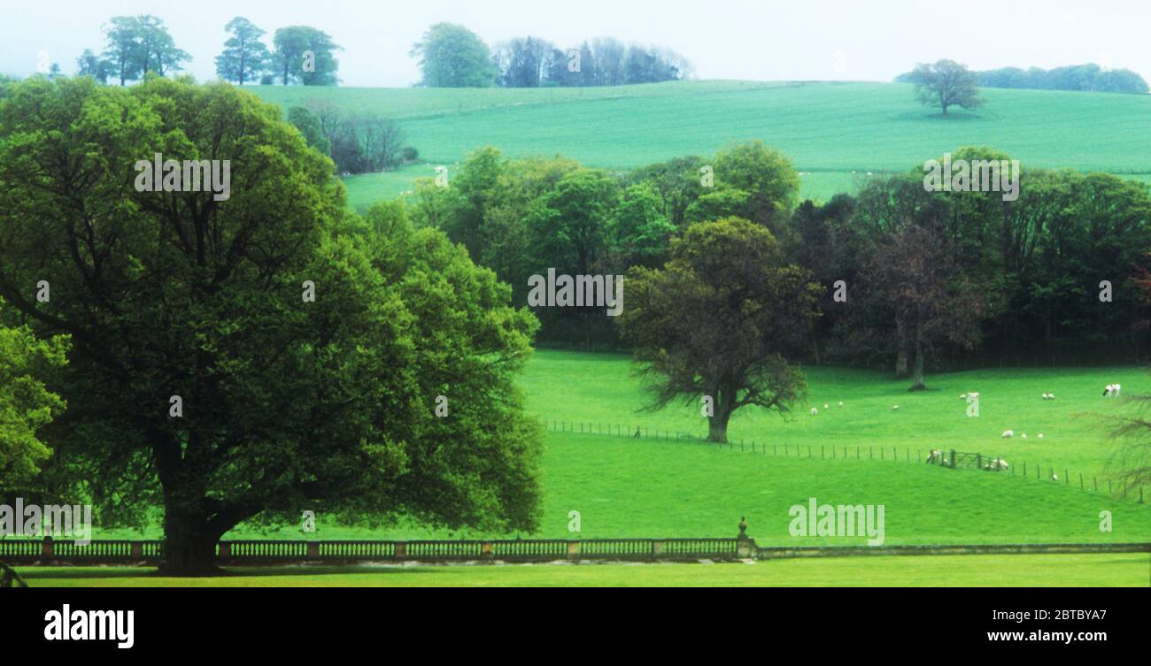 Capability brown park design hi-res stock photography and images - Alamy