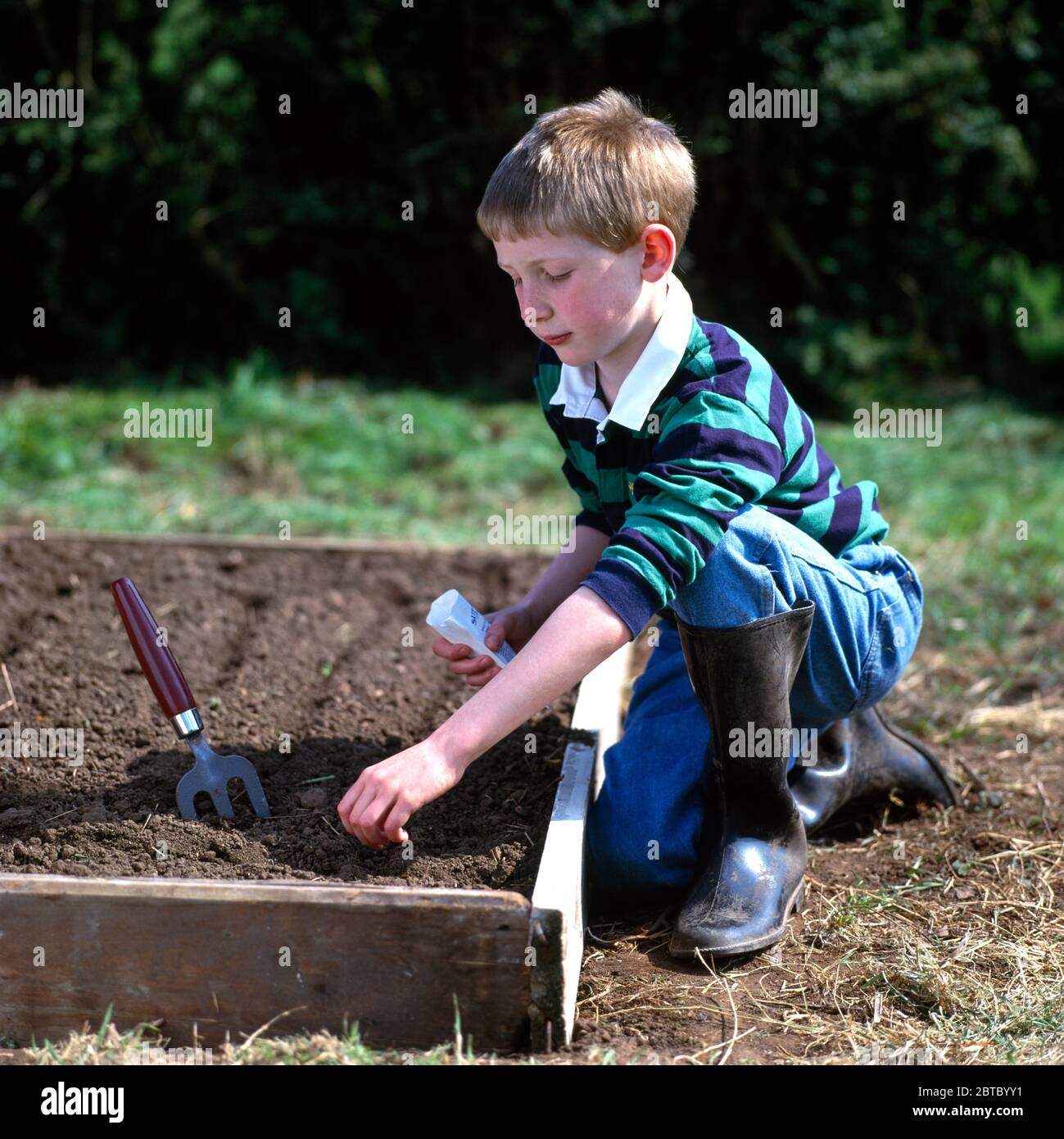 Young boy planting seeds in a raised bed EDITORIAL USE ONLY Stock Photo ...