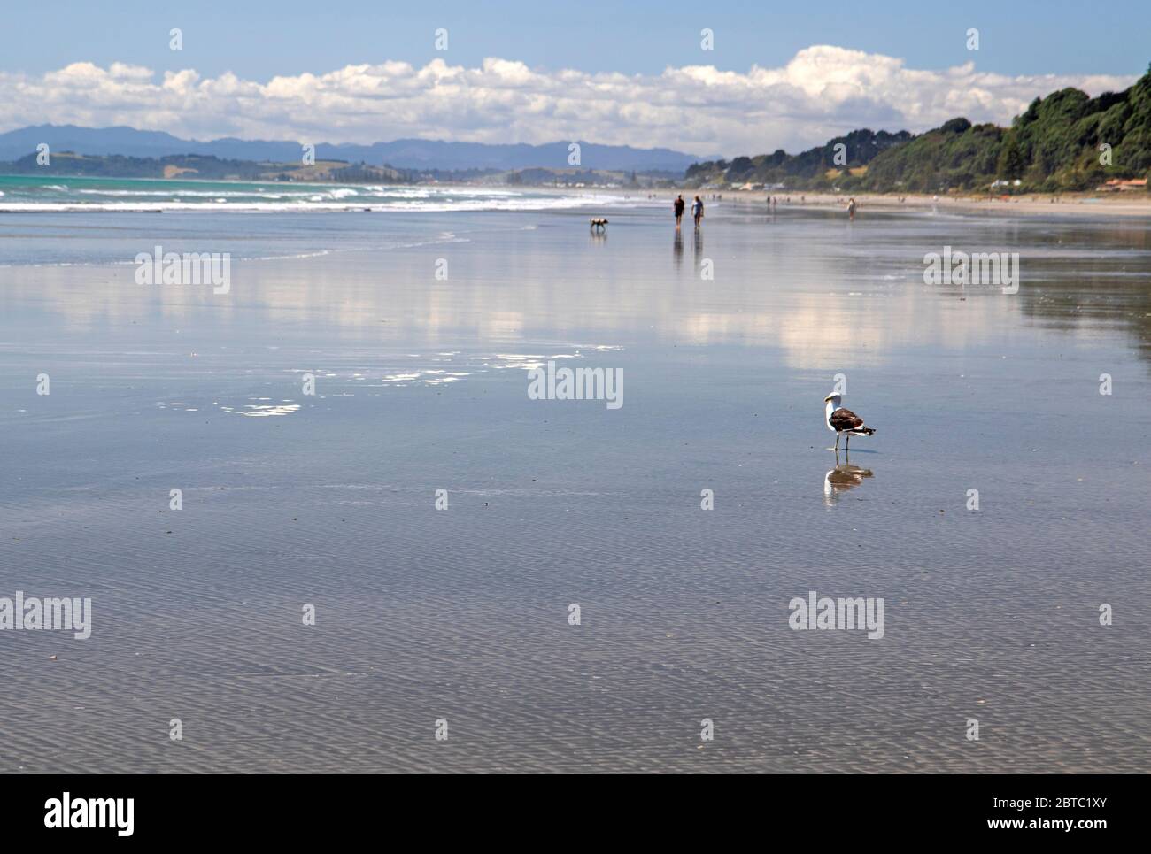 Ohope beach bay north plenty island new hi-res stock photography and ...