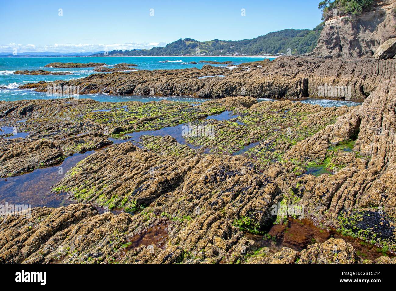 View to Ohope Beach Stock Photo - Alamy