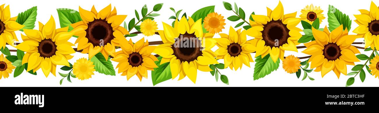 Vector horizontal seamless border with yellow sunflowers and green ...