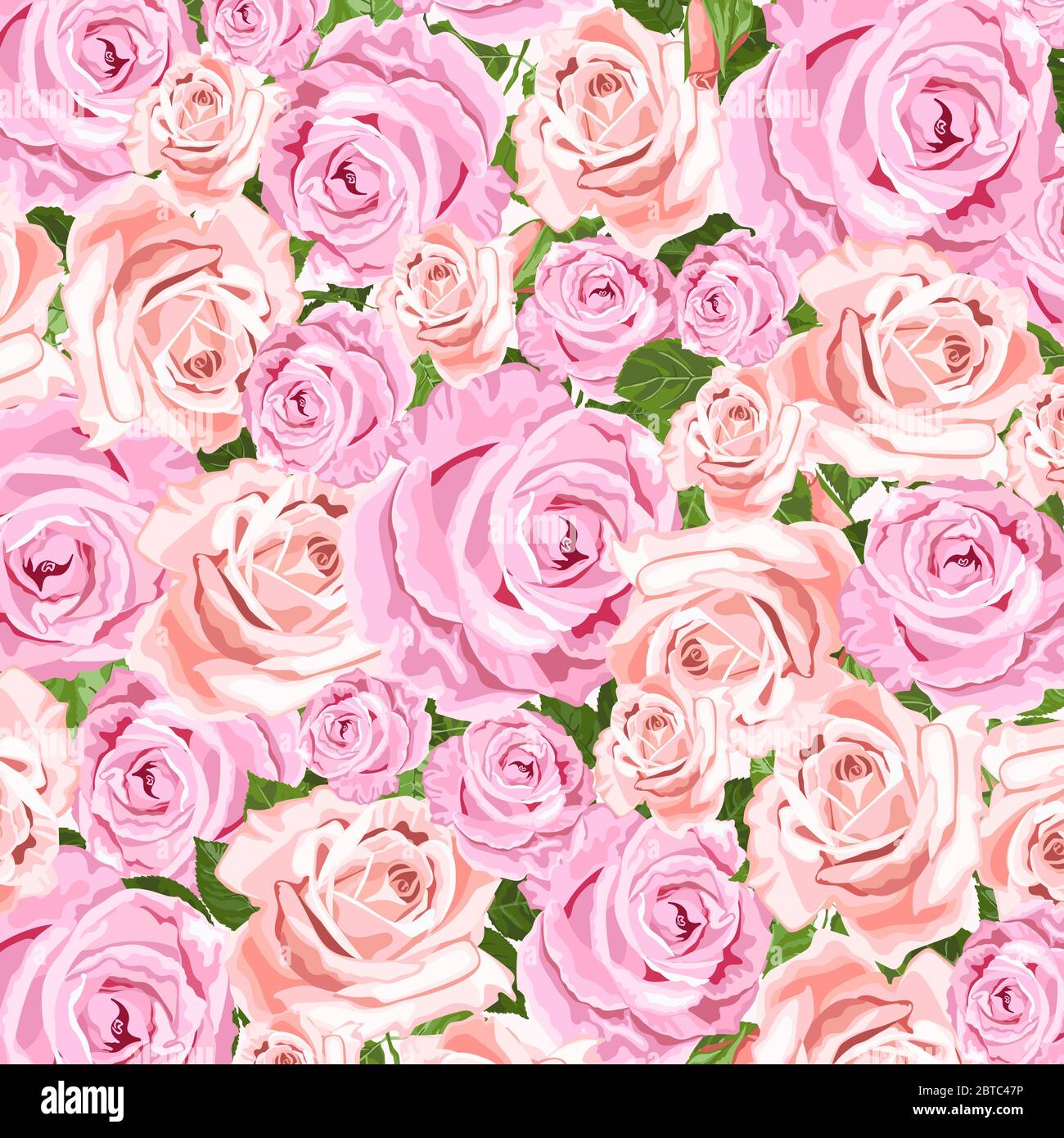 Pale pink roses vector floral background for wedding invitations and ...