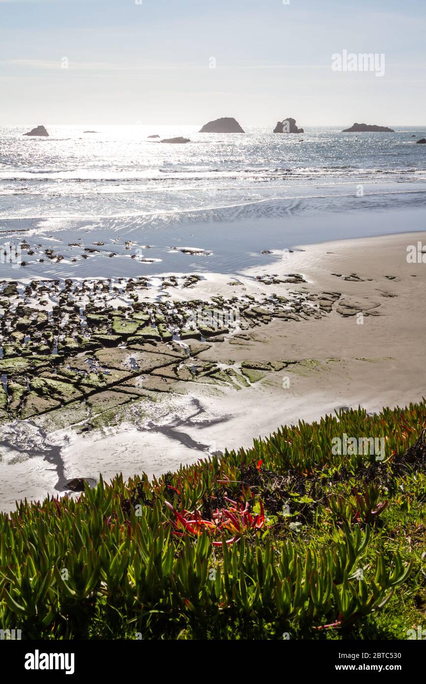 interesting volcanic rock in the south end of Pebble Beach in Northern ...