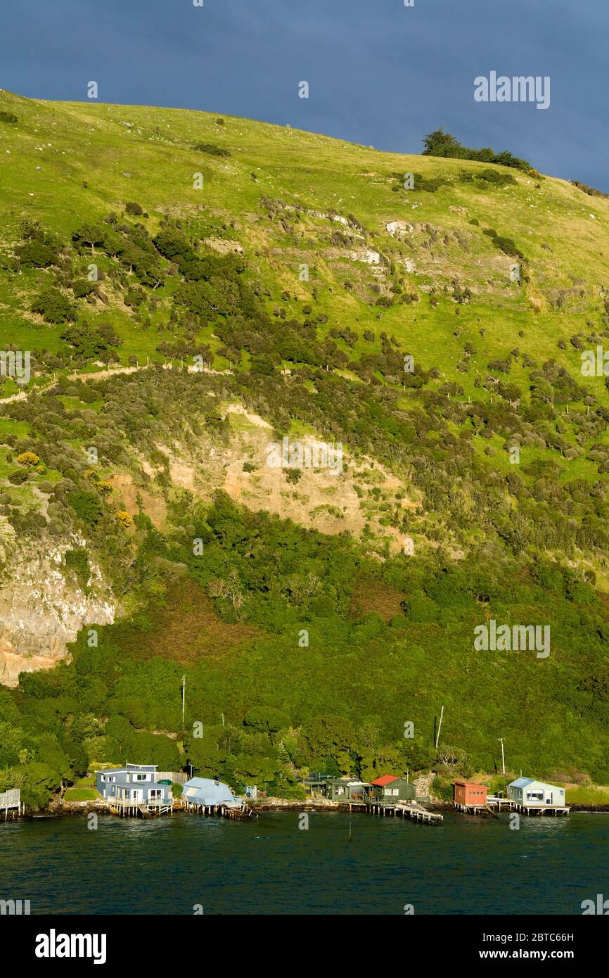Lighthouse taiaroa head hi-res stock photography and images - Alamy