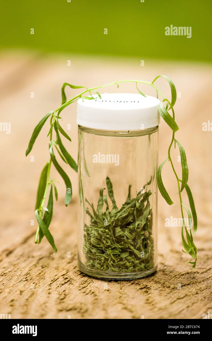 Tarragon dried herb hi-res stock photography and images - Alamy