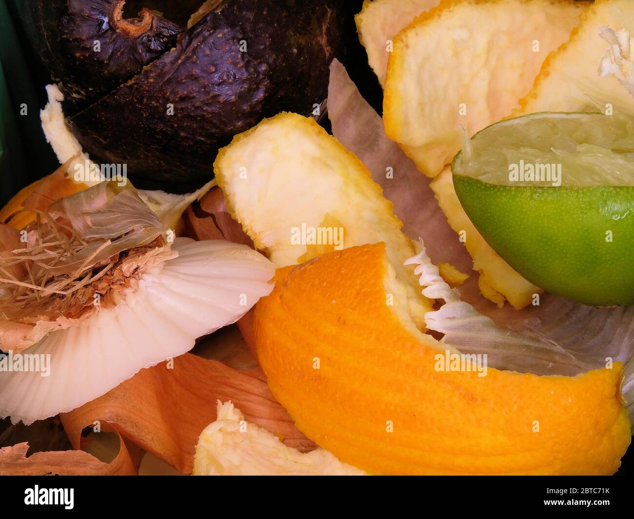 Up close view of food scraps in a compost bin; vegetable and fruit ...