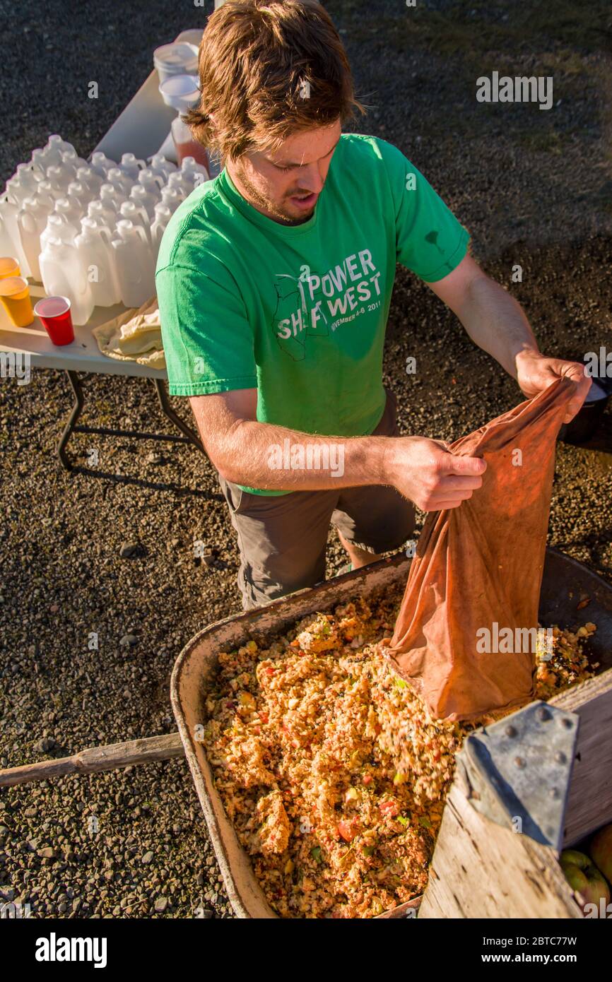 Pear pulp hi-res stock photography and images - Alamy