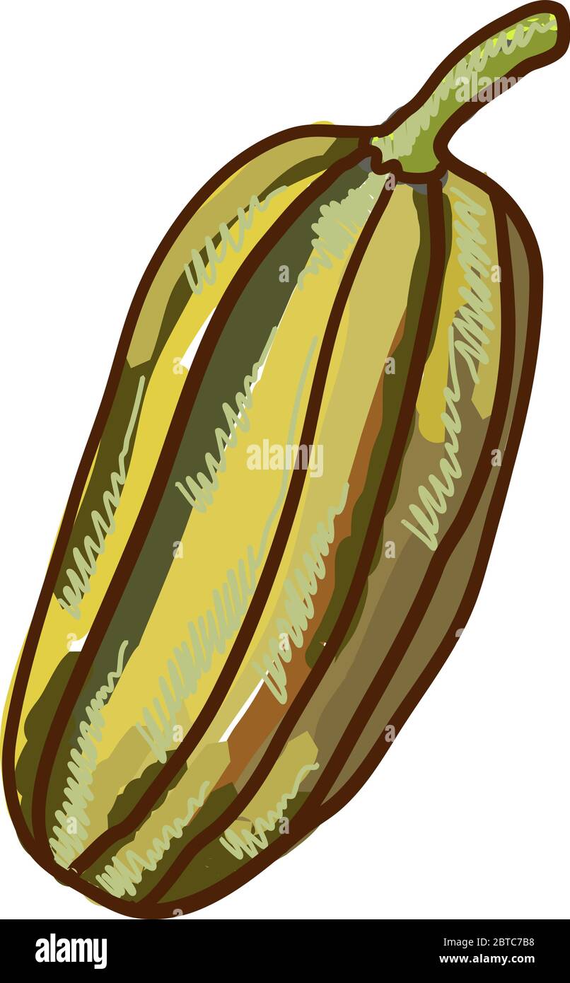 Delicata squash Stock Vector Images - Alamy