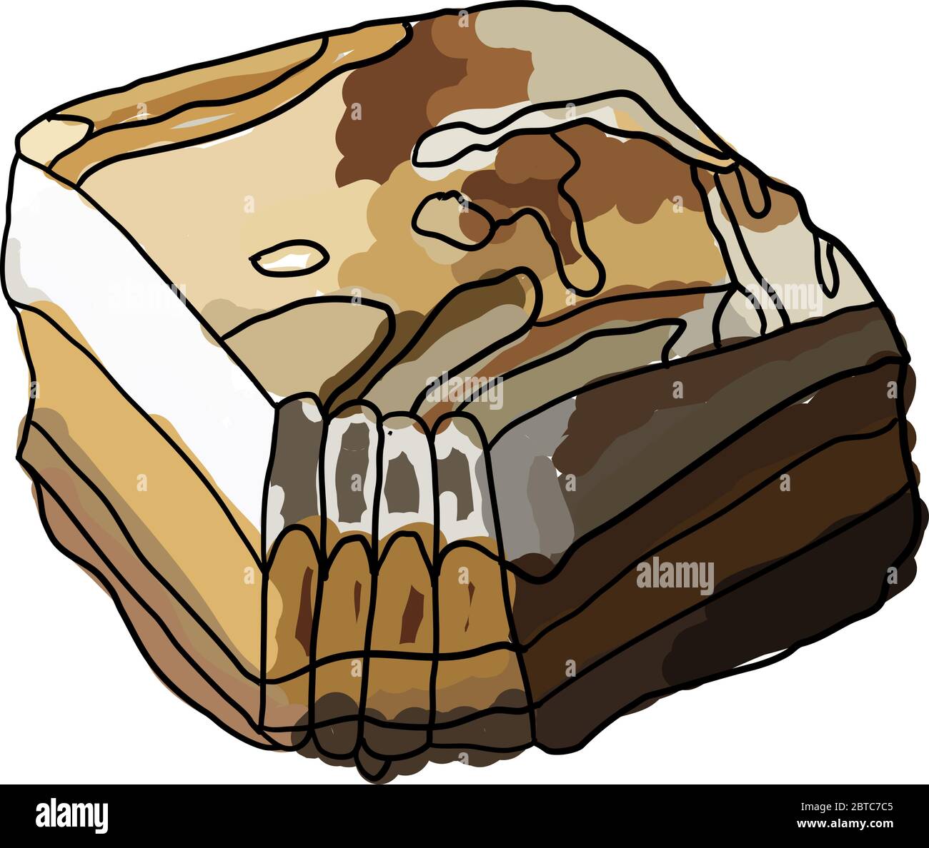 Pecan isolated on white Stock Vector Images - Alamy