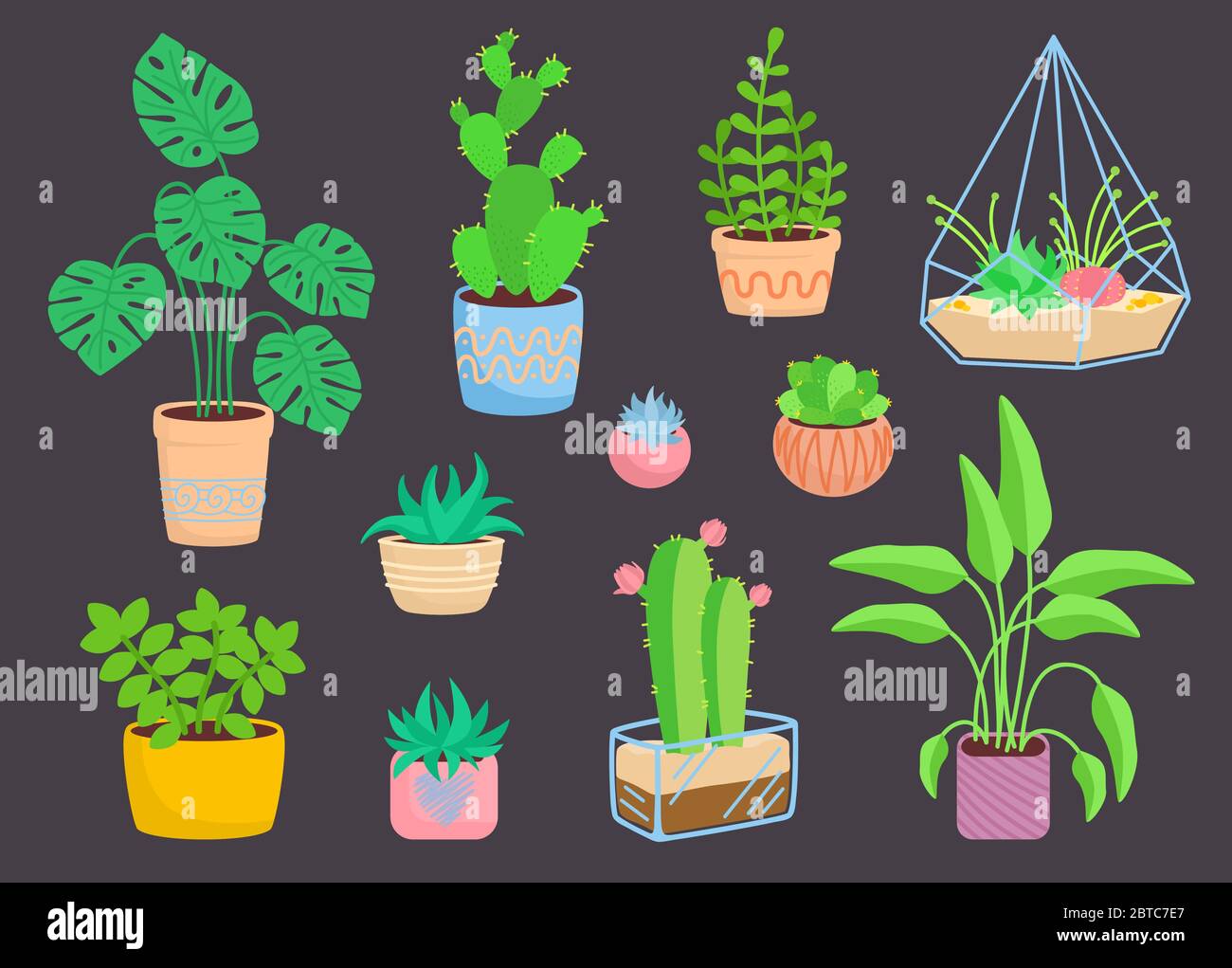 House indoor plant, potted ceramic set, flat cartoon flower. Succulents ...
