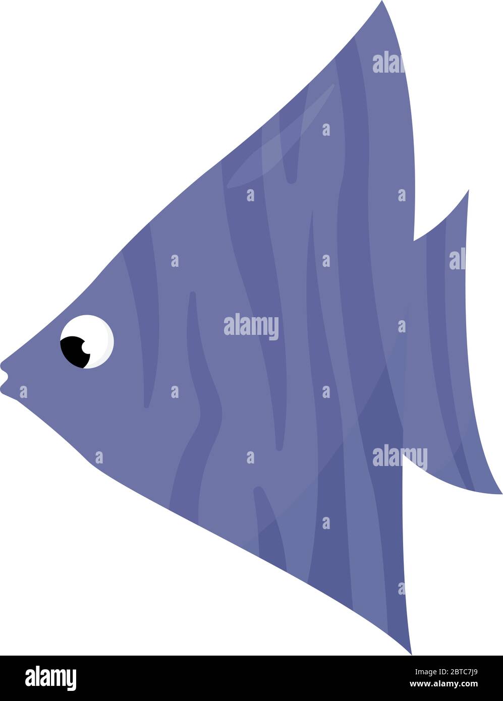 Angelfish , illustration, vector on white background Stock Vector Image ...