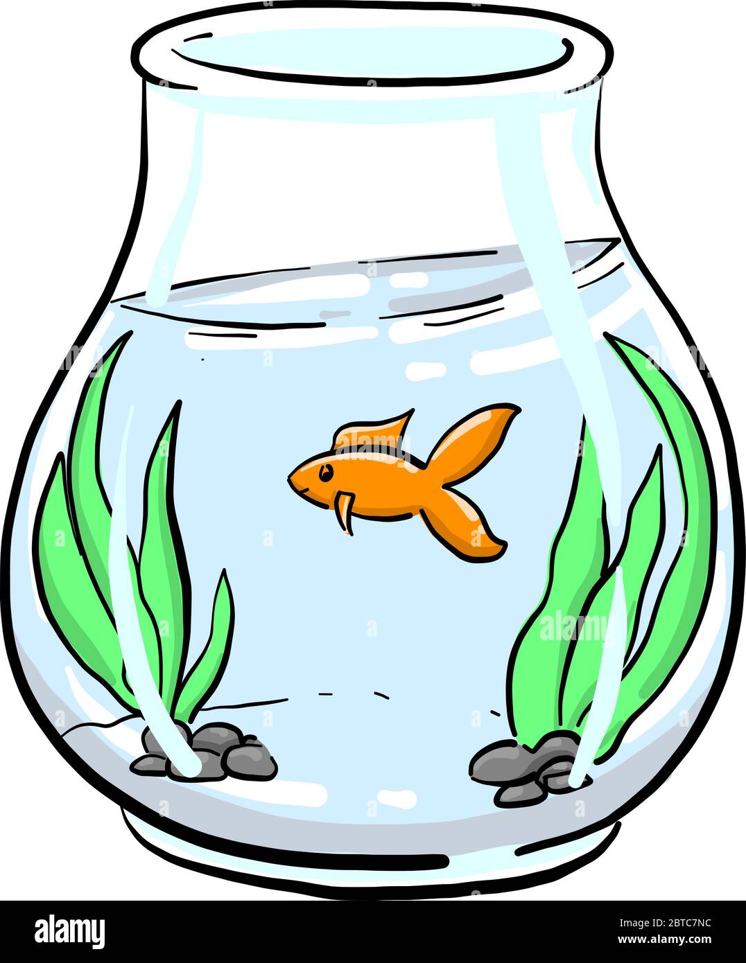 Aquarium with water , illustration, vector on white background Stock ...