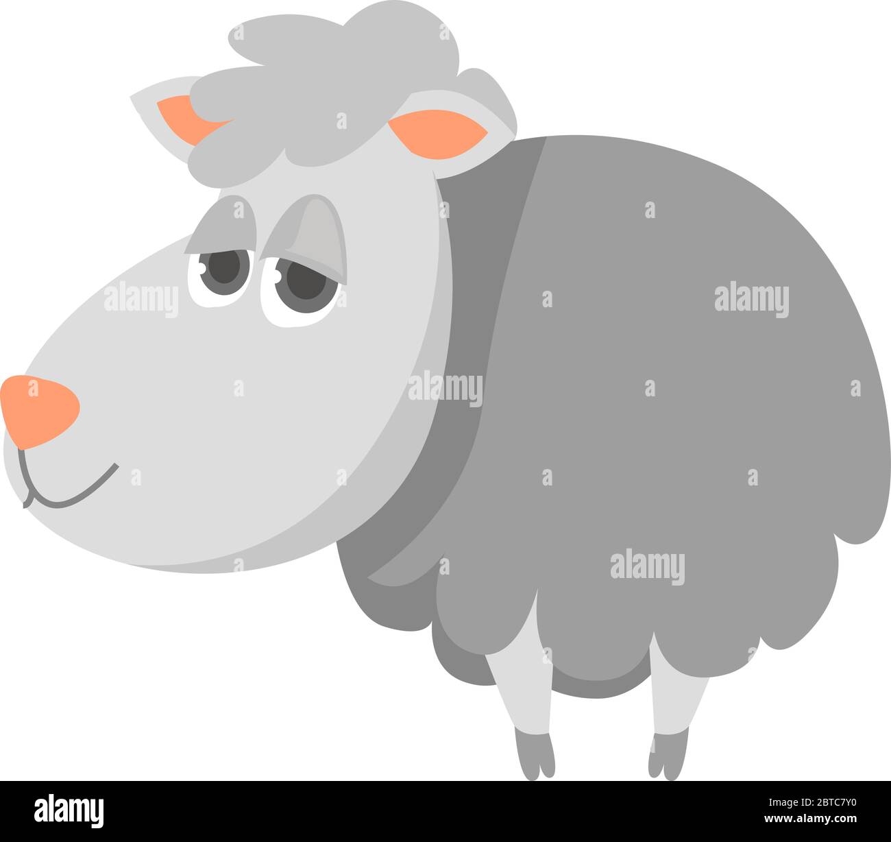White sheep , illustration, vector on white background Stock Vector ...