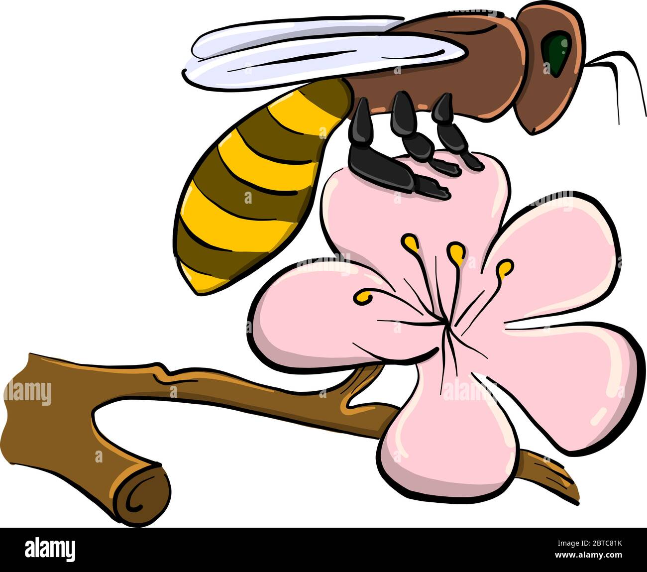 Bumblebee on flower honey Stock Vector Images - Alamy
