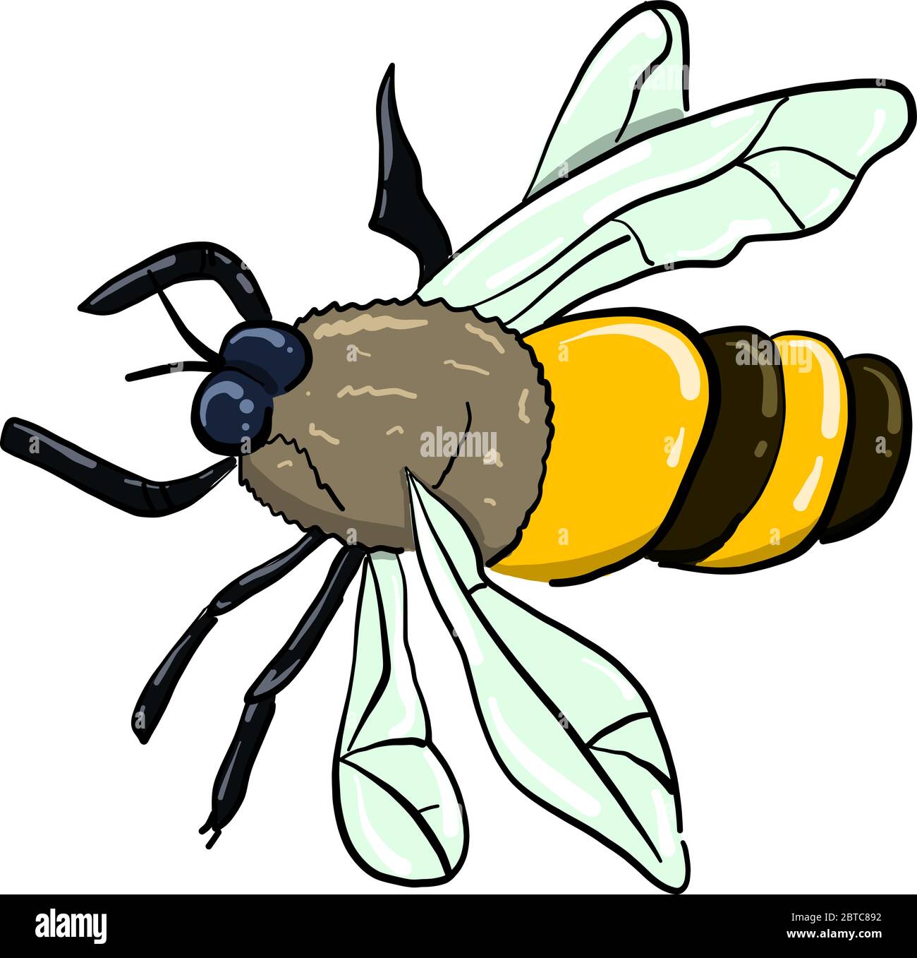 Flying bee , illustration, vector on white background Stock Vector ...