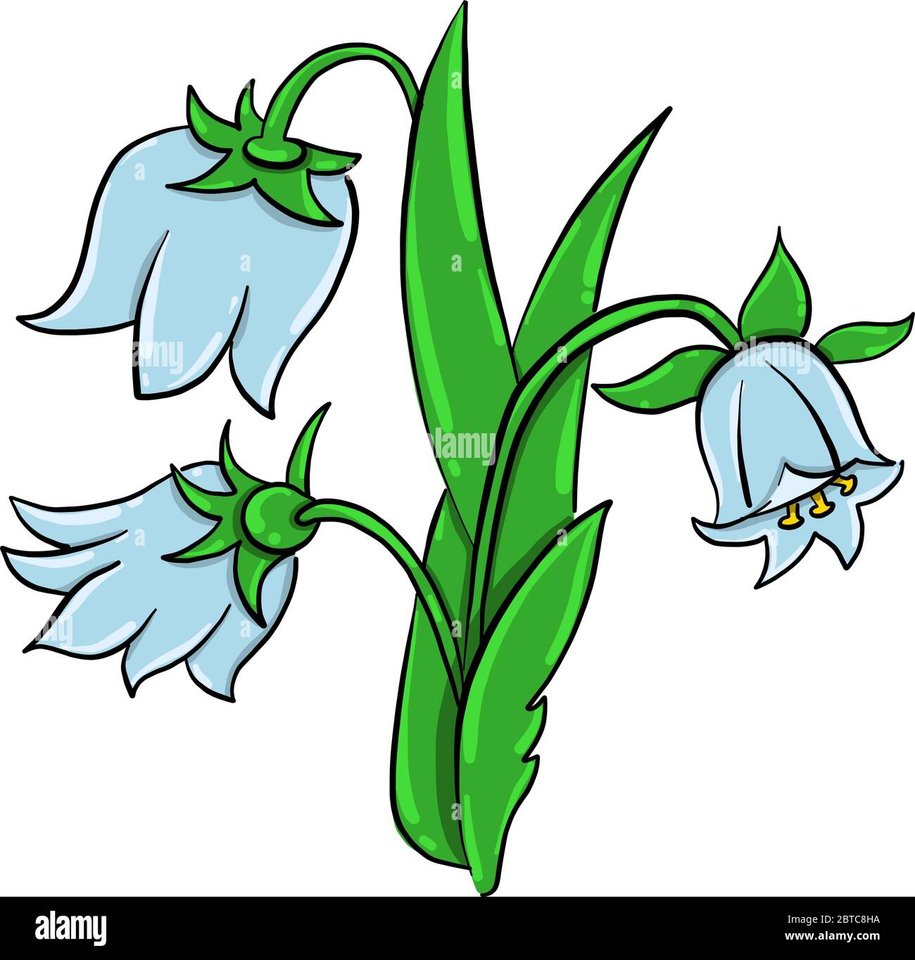 Bluebell detail Stock Vector Images - Alamy