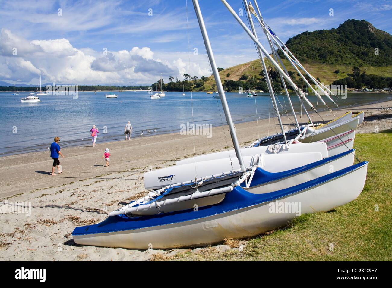 Pilot bay new zealand hi-res stock photography and images - Alamy