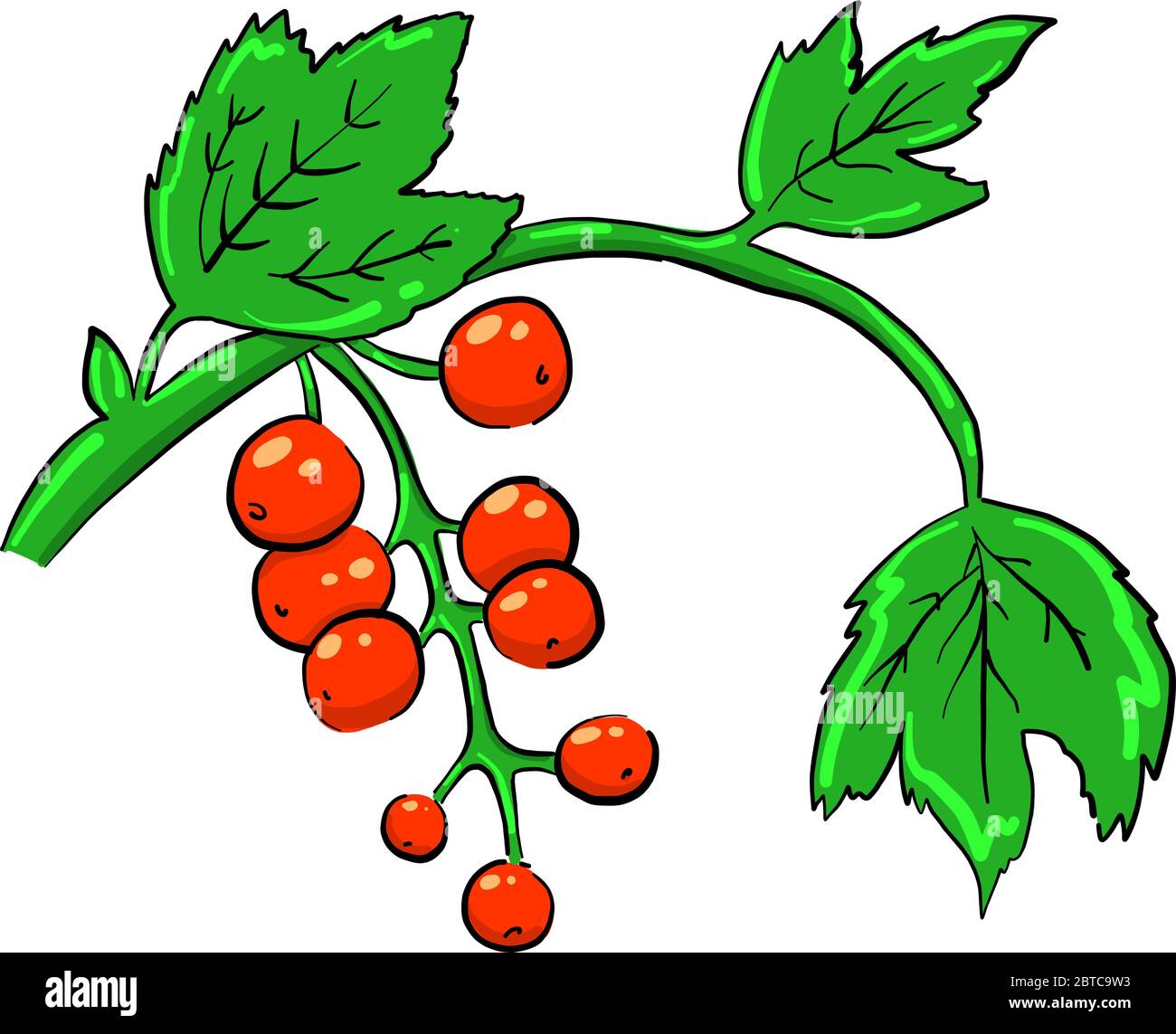 Red currants with green leaf Stock Vector Images - Alamy