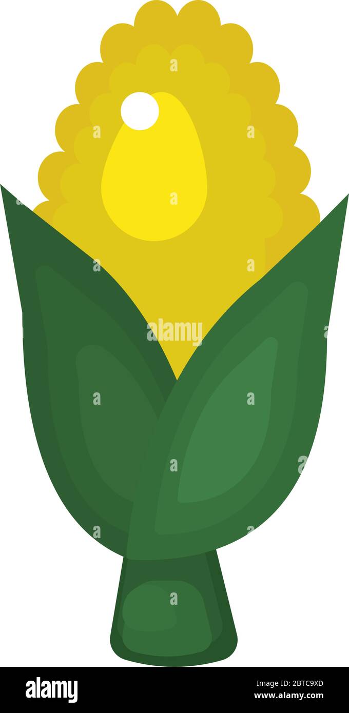 Yellow corn , illustration, vector on white background Stock Vector ...